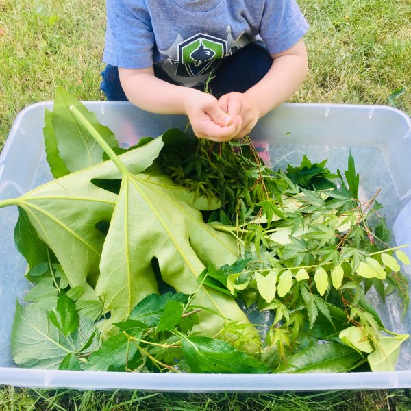 Toddler Sensory Bin With Leaves - Twin Mom Refreshed