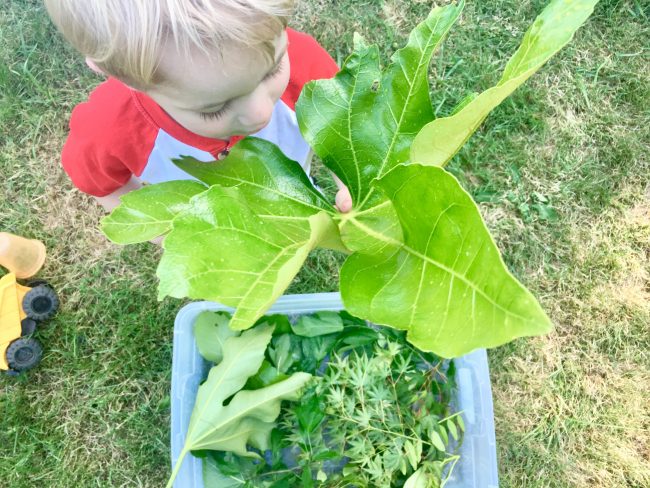 Toddler Sensory Bin With Leaves - Twin Mom Refreshed