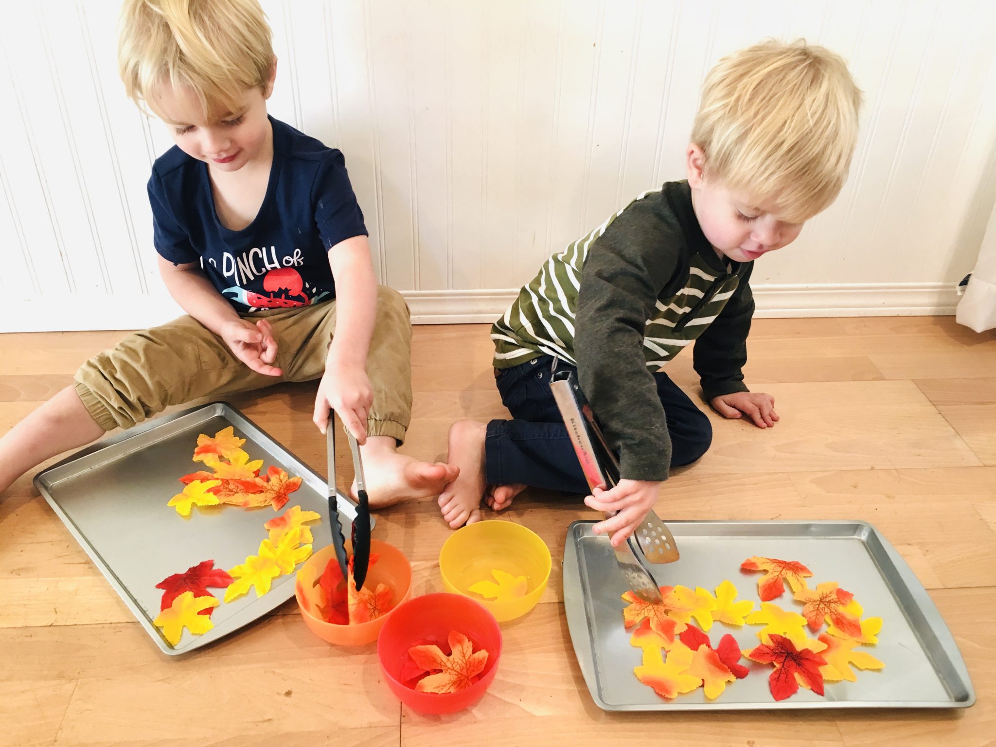 Fall Leaf Sorting Activity - Twin Mom Refreshed