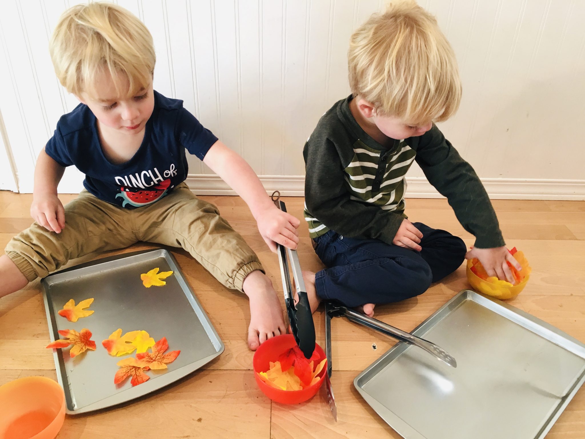 Fall Leaf Sorting Activity - Twin Mom Refreshed