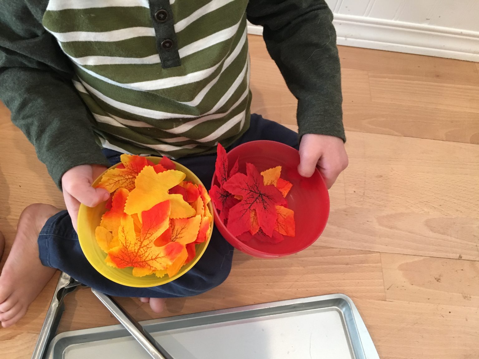 Fall Leaf Sorting Activity - Twin Mom Refreshed