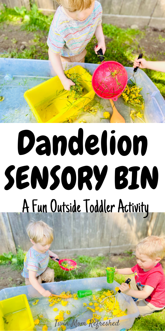 Dandelion Sensory Play - Twin Mom Refreshed