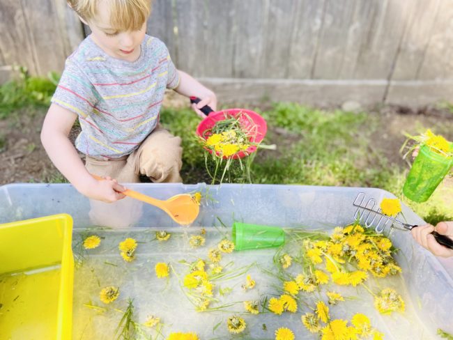 Dandelion Sensory Play - Twin Mom Refreshed
