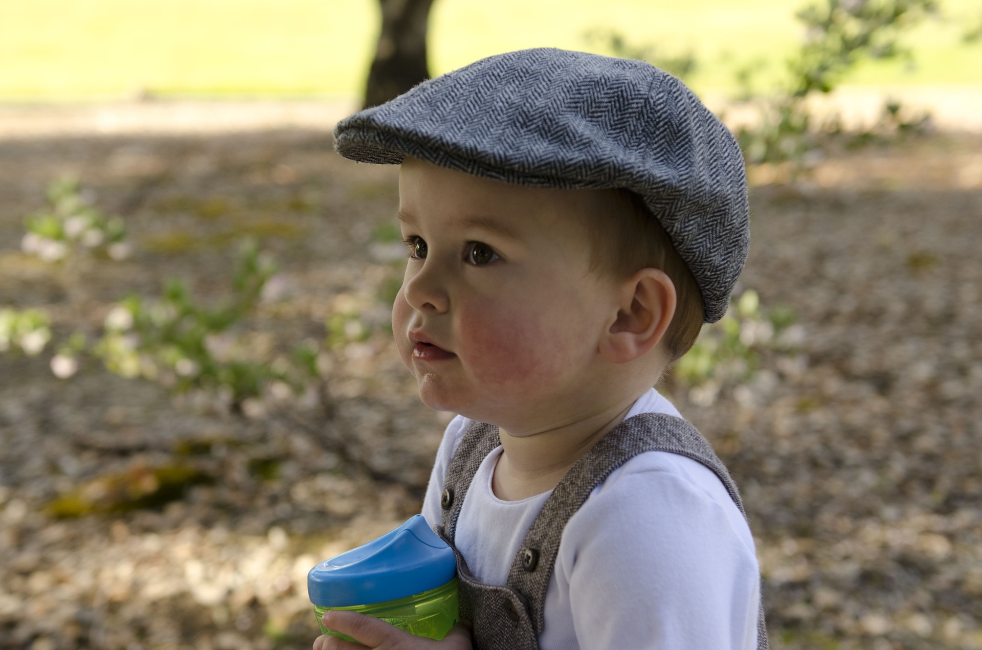 Sippy Cups For Toddlers - Twin Mom Refreshed