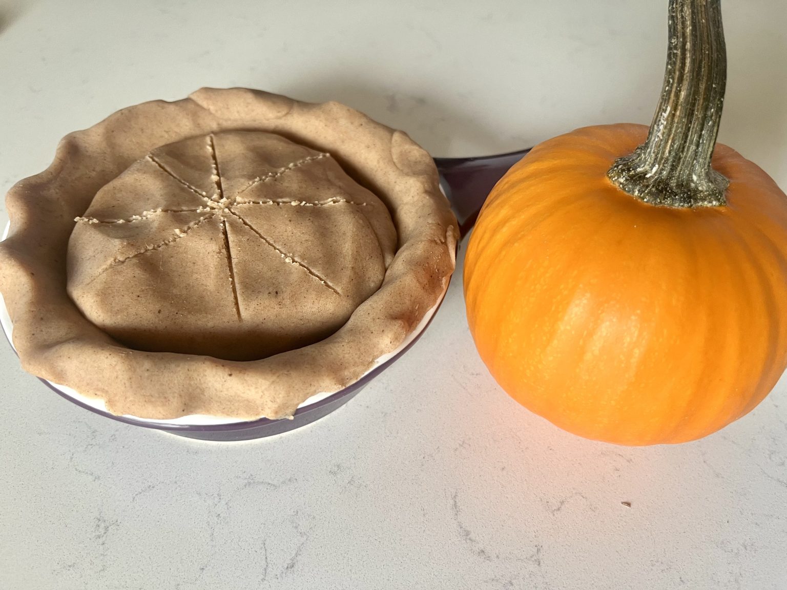 Pumpkin Spice Playdough - Twin Mom Refreshed
